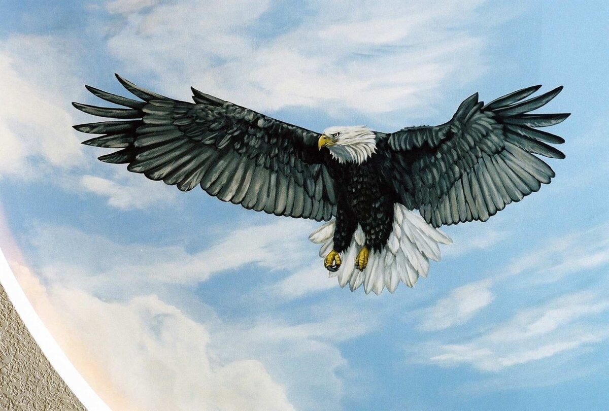 Eagle Ceiling Mural - Mural Art