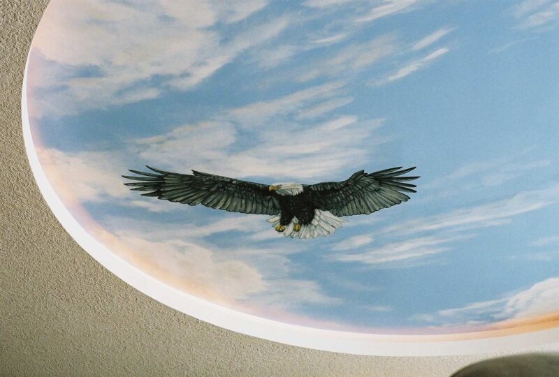 Eagle Ceiling Mural - Mural Art