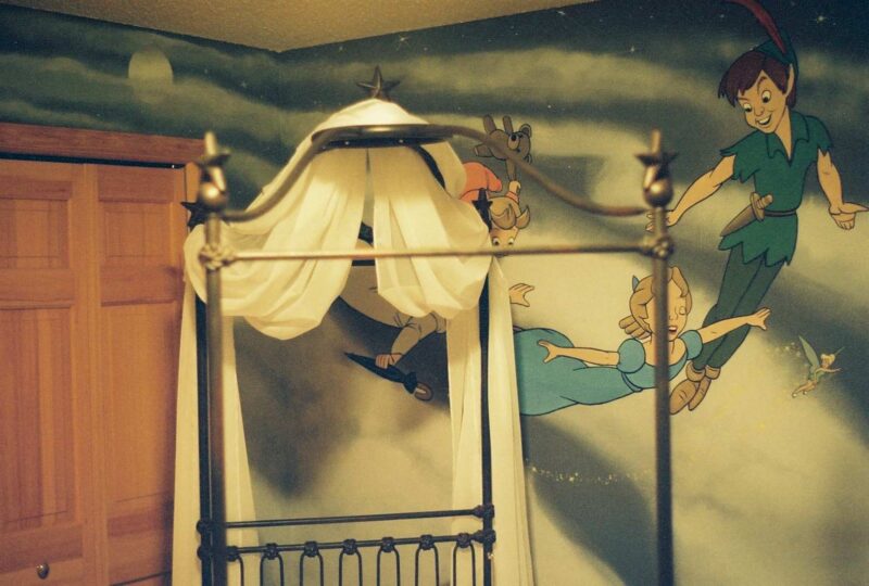 Peter Pan Mural - Mural Art