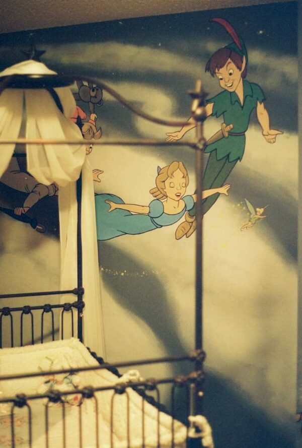 Peter Pan Mural - Mural Art