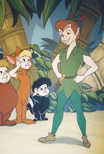 Peter Pan Playroom Mural - Mural Art